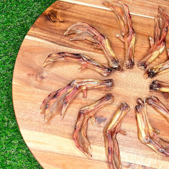 Duck Feet – Kona Dog Wear