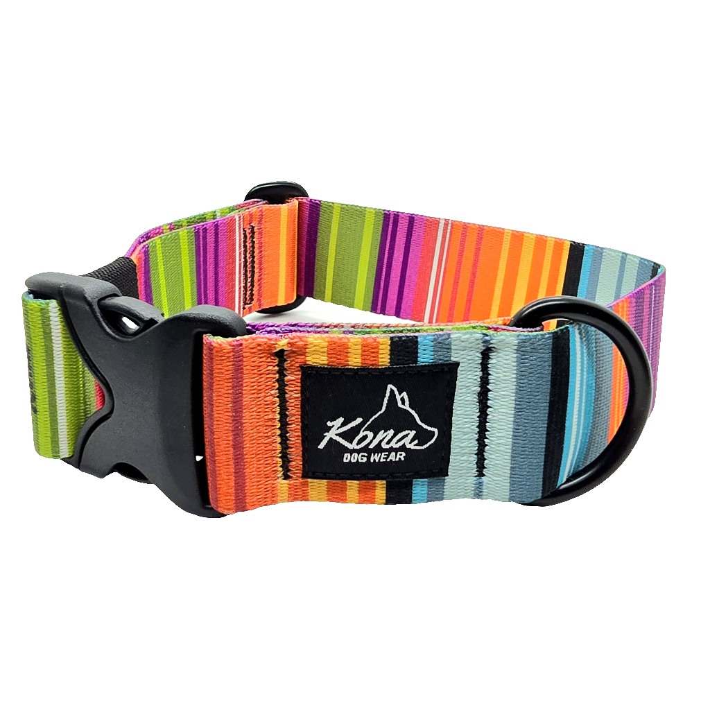 Fiesta Buckle Dog Collar – Kona Dog Wear